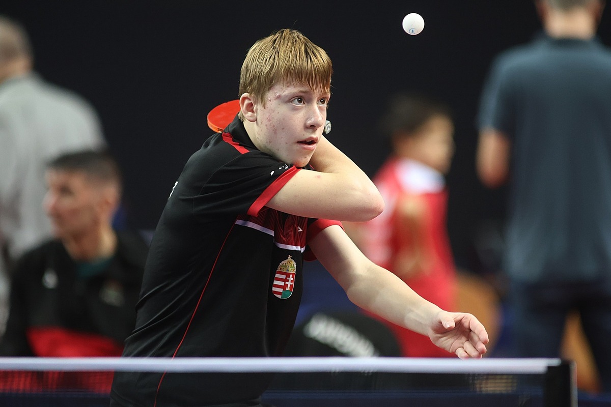 Hírek - Gergely Márk bronz érmet szerzett az Aréna Savariában, WTT ...